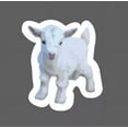 DOPASTICKER Baby Goat Adorable Waterproof Decorative Laptop, Phone ...
