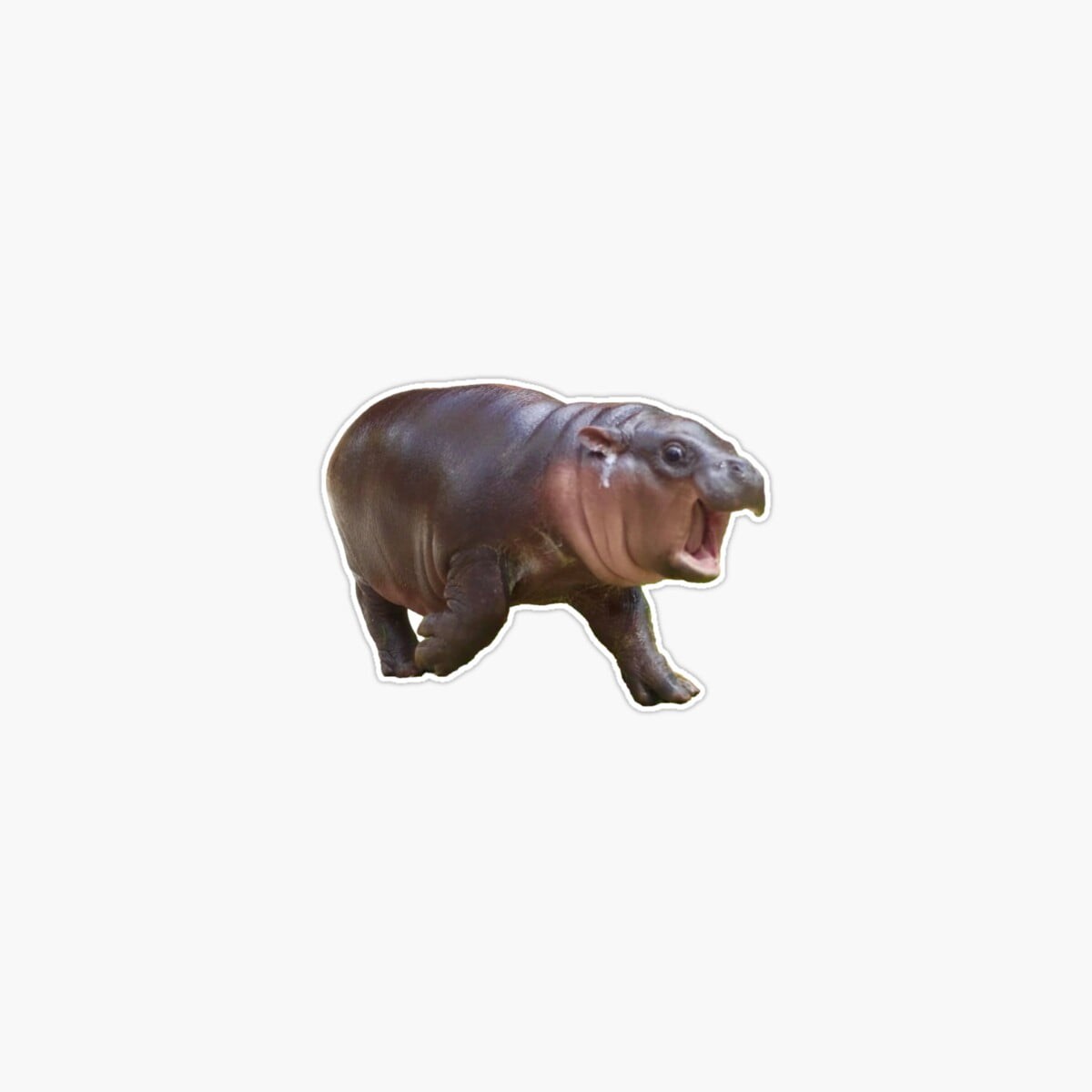 DOPASTICKER Baby Hippo Sticker, Phone Sticker Car Stickers, Birthday ...
