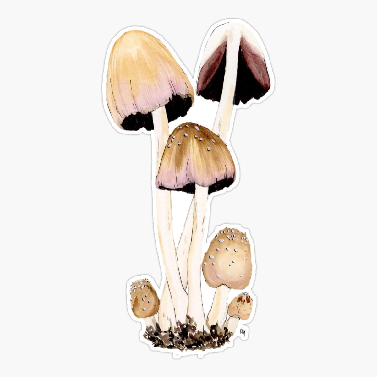 DOPASTICKER Badger Moon Sticker, Phone Sticker Car Stickers, Birthday ...