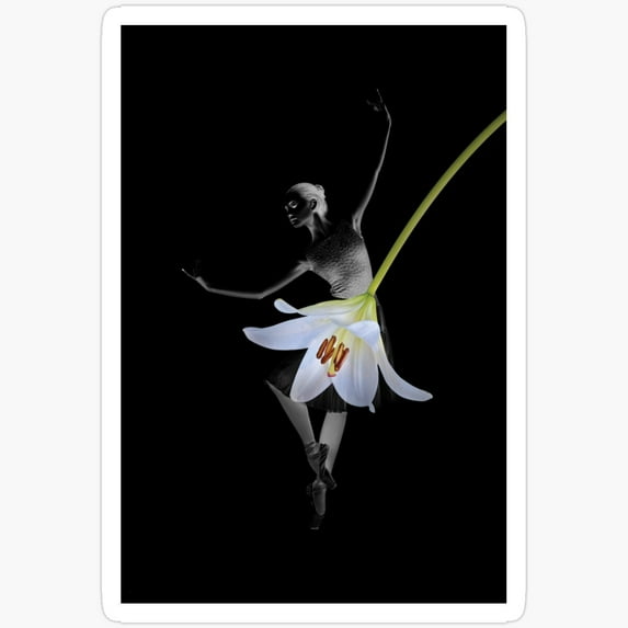 DOPASTICKER Ballet Dancer Sticker Waterproof Sticker For Water Bottles ...