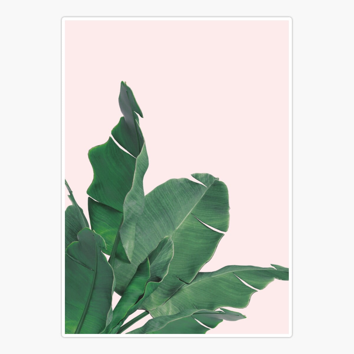 DOPASTICKER Banana Leaves Tropical Leaf Sticker, Phone Sticker Car ...