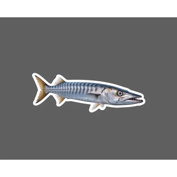 DOPASTICKER Barracuda Sticker Fish Animal Ocean Wildlife Salt Gift ...