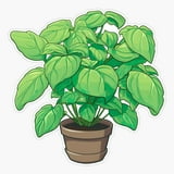 DOPASTICKER Basil Plant Sticker, Phone Sticker Water Bottle Sticker Car ...