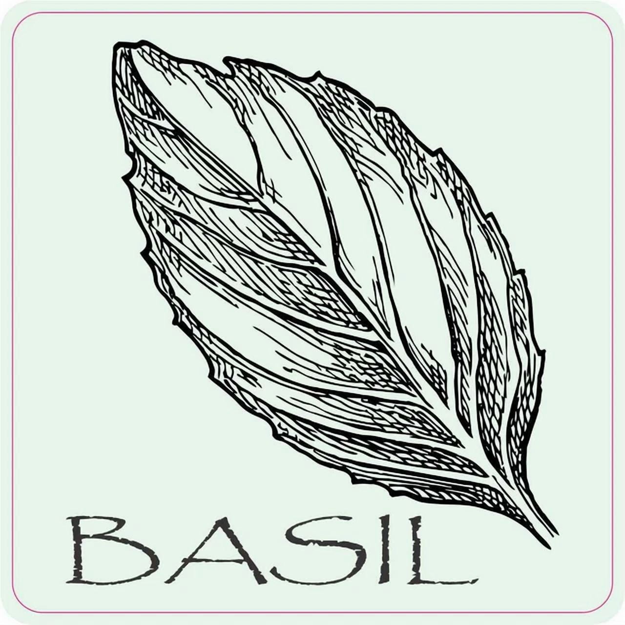 DOPASTICKER Basil Sticker Phone Sticker, Latop Sticker, Lover Gift ...