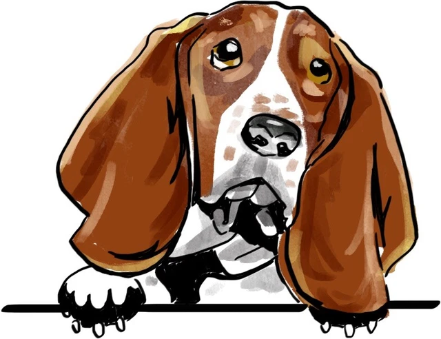 DOPASTICKER Basset Hound Dog Sticker Adopt Cute Dog Puppy Peeking Phone ...