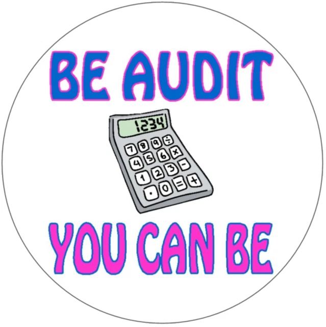 DOPASTICKER Be Audit You Can Be, Accountant Phone Decal Water Bottle ...