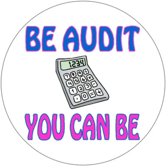 DOPASTICKER Be Audit You Can Be, Accountant Phone Decal Water Bottle ...