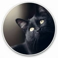 DOPASTICKER Beautiful Black Cat Kitten Cool Gift, Phone Sticker, Lover ...