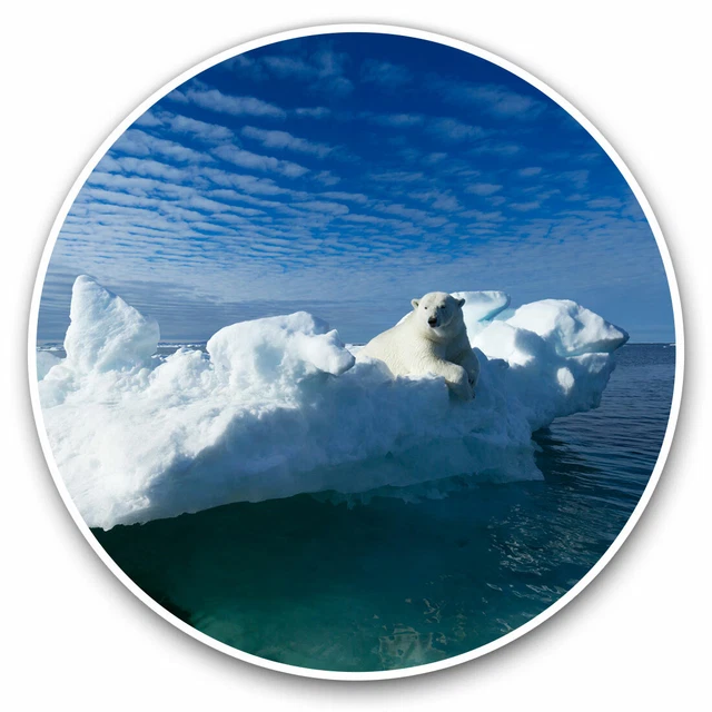 DOPASTICKER Beautiful Iceberg Polar Bear Cool Gift Decorative Laptop ...
