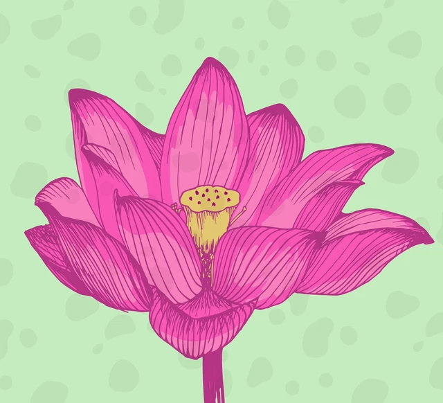 DOPASTICKER Beautiful Lotus Flower Sticker Painted Watercolor Power ...