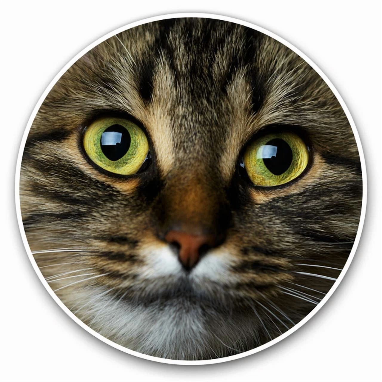 DOPASTICKER Beautiful Tabby Cat Face Cool Gift, Phone Sticker, Lover ...