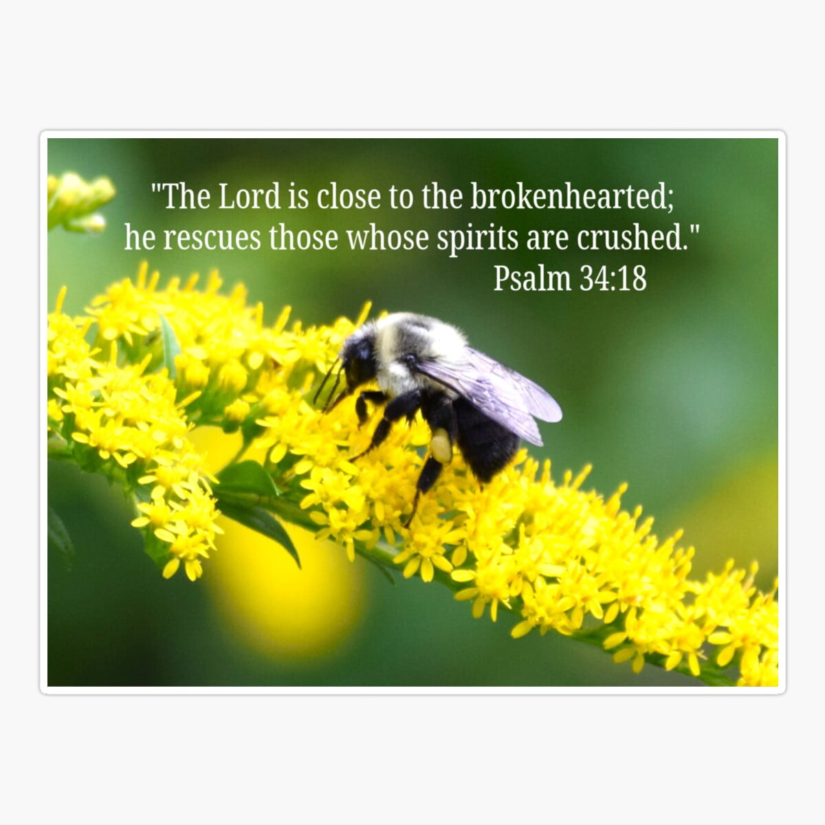 DOPASTICKER Bee Goldenrod Psalm 3418 Sticker, Phone Sticker Car Sticker ...