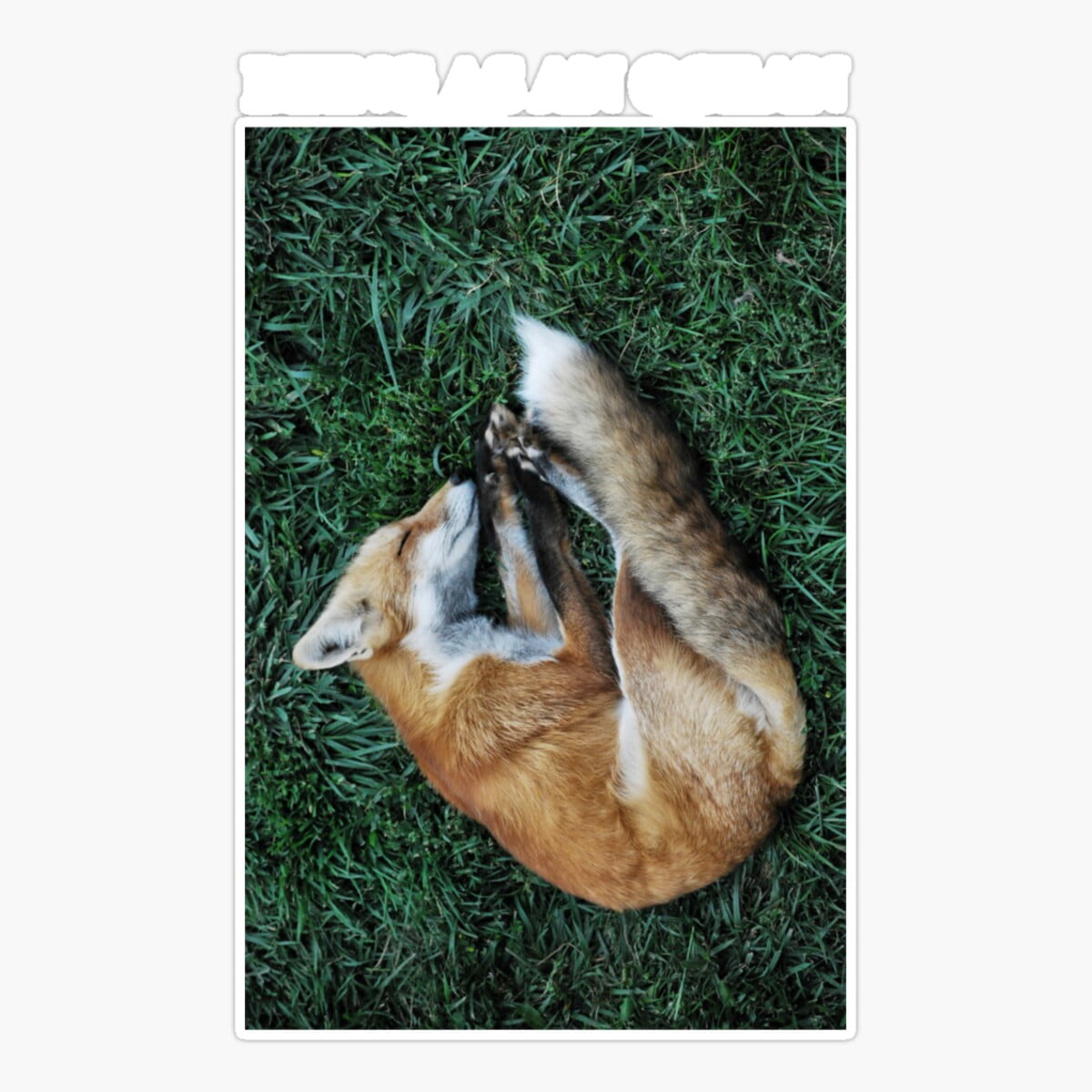 DOPASTICKER Being As An Ocean Fox Sticker, Phone Sticker Car Stickers ...