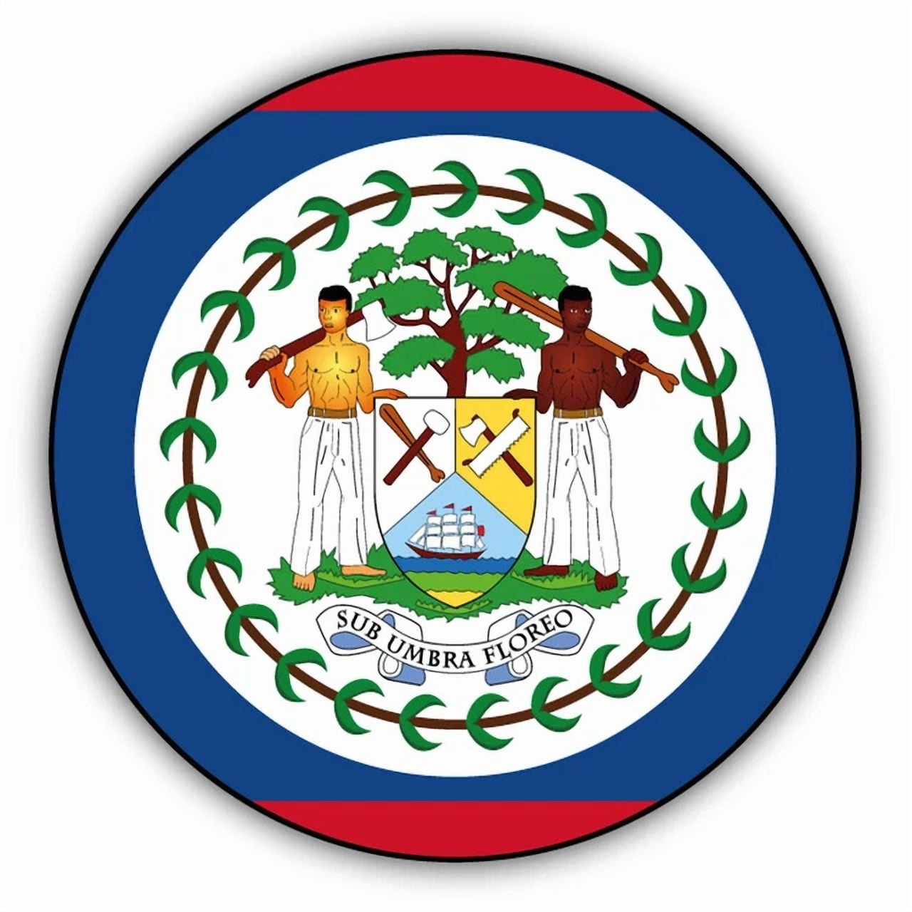 DOPASTICKER Belize Round Flag Sticker Decal Phone Decal Water Bottle ...