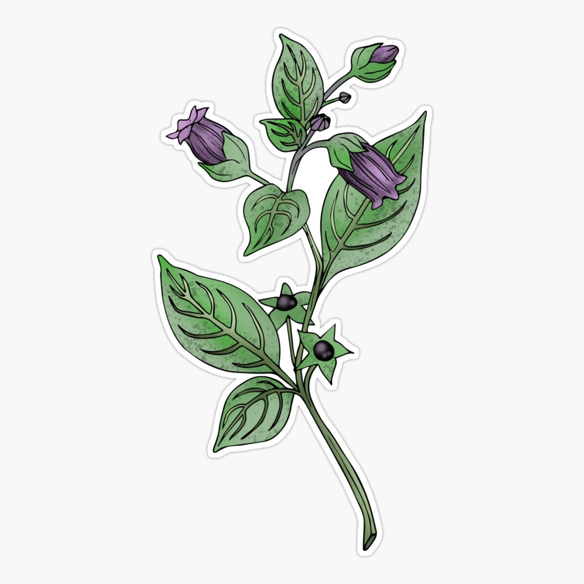 DOPASTICKER Belladonna, Deadly Nightshade Sticker, Phone Sticker Car ...