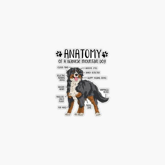 DOPASTICKER Bernese Mountain Dog Anatomy Berner Dog Owner Dog Lover ...