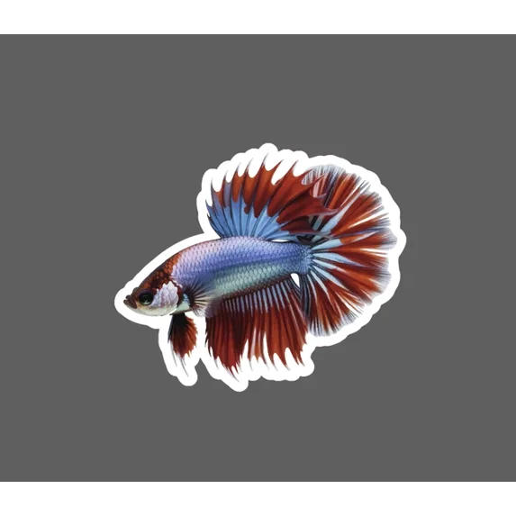 DOPASTICKER Betta Fish Sticker Animal Pet Colorful Gift Sticker Phone ...