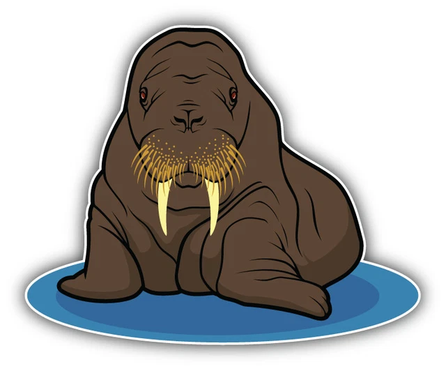 DOPASTICKER Big Cartoon Walrus Sticker Decal Phone Decal Water Bottle ...