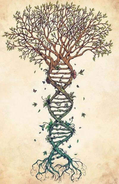 DOPASTICKER Biology Sticker Dna Science Genetics Family Tree Genome ...