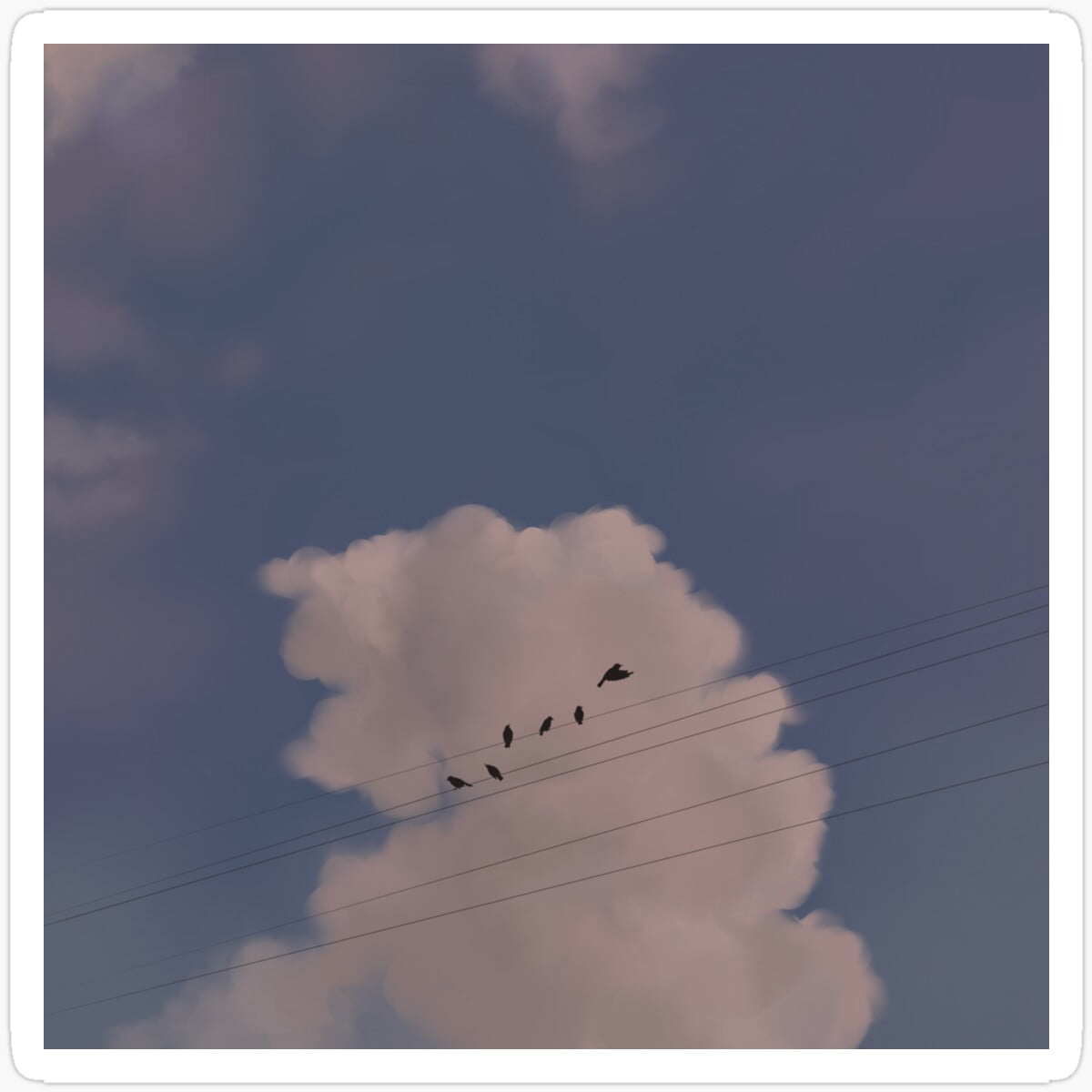 DOPASTICKER Birds On A Wire Sticker Birthday Gifts - Decorative Laptop ...
