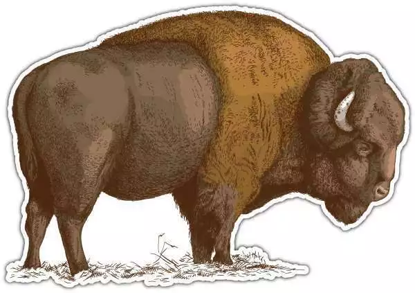 DOPASTICKER Bison Wildlife Animal Car Window Sticker Decal Phone Decal ...
