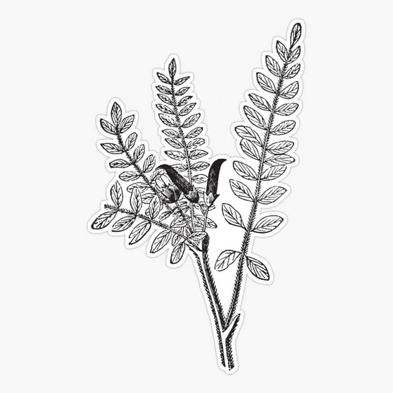 DOPASTICKER Black And White Plant Artwork - Sabrinaski #15 Black ...