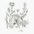 DOPASTICKER Black And White Wildflower Artwork Sticker, Phone Sticker ...