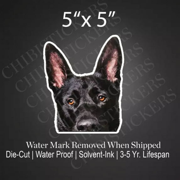 DOPASTICKER Black Dutch Shepherd Realistic Dog Peeker Sticker ...