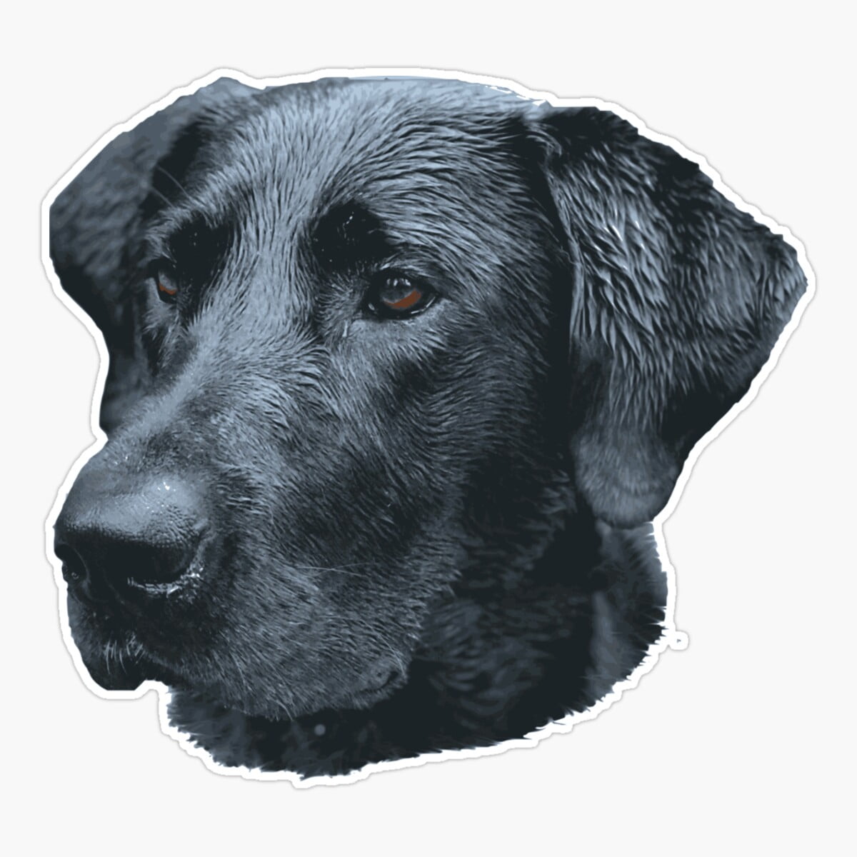 DOPASTICKER Black Lab Sticker, Phone Sticker Water Bottle Sticker Car ...