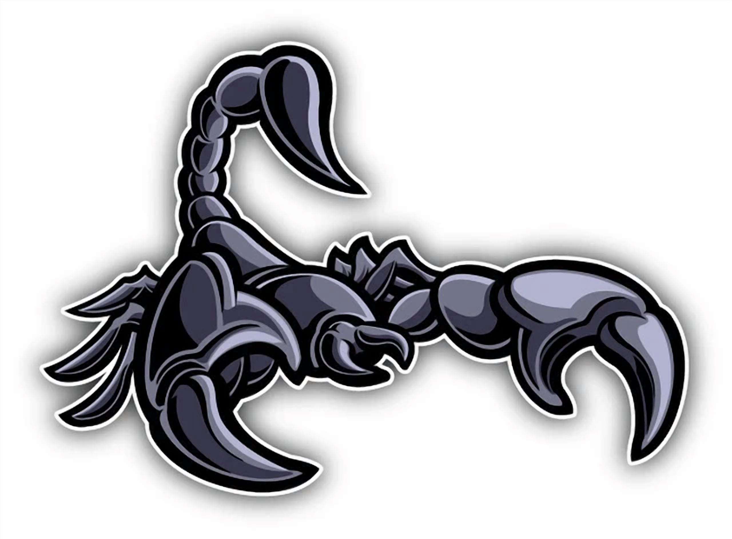 DOPASTICKER Black Scorpio Sticker Decal Phone Decal Water Bottle ...