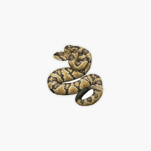 DOPASTICKER Black-Tailed Rattlesnake Sticker, Phone Sticker Car Sticker ...