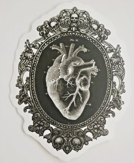 DOPASTICKER Black And White Human Heart Organ With Decorative Border ...