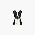DOPASTICKER Black & White Pit Bull Sticker, Phone Sticker Car Stickers ...