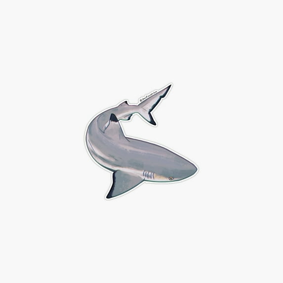 DOPASTICKER Blacktip Reef Shark Sticker, Phone Sticker Water Bottle ...