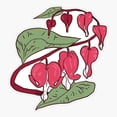 DOPASTICKER Bleeding Heart Flower Sticker, Phone Sticker Car Stickers ...