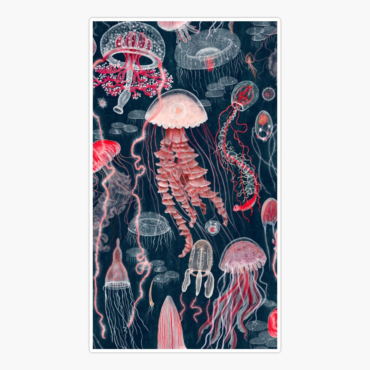 DOPASTICKER Bloom, Candy Floss Midnight Sticker, Phone Sticker Car ...