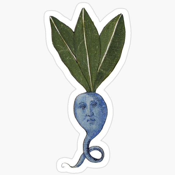 DOPASTICKER Blue Beet Sticker Phone Decal Water Bottle Stickers, Cars ...