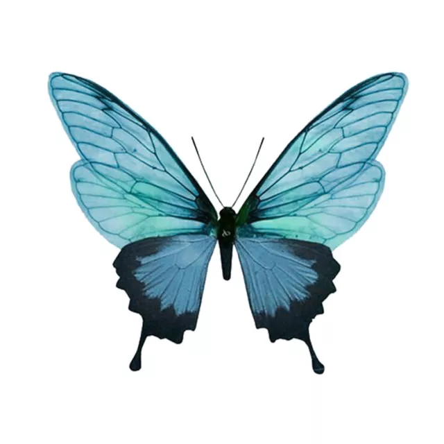 DOPASTICKER Blue Butterfly Sticker Colorful Vibrant Wing Love Pretty ...