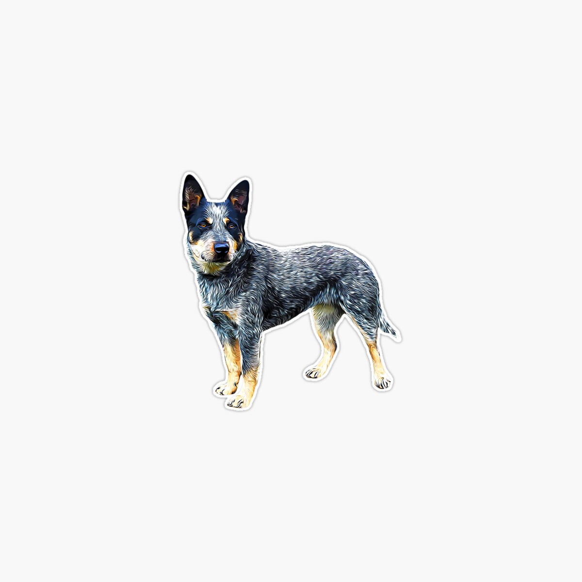 DOPASTICKER Blue Heeler Australian Cattle Dog Sticker, Phone Sticker ...