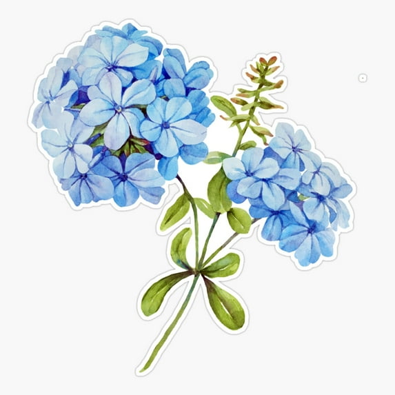 DOPASTICKER Blue Hydrangea Watercolor Cluster Sticker, Phone Sticker ...
