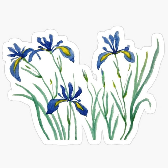 DOPASTICKER Blue Iris Watercolor Painting Sticker Birthday Gifts ...