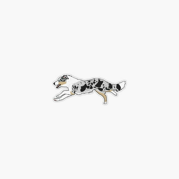 DOPASTICKER Blue Merle Tri Border Collie Running Sticker, Phone Sticker ...