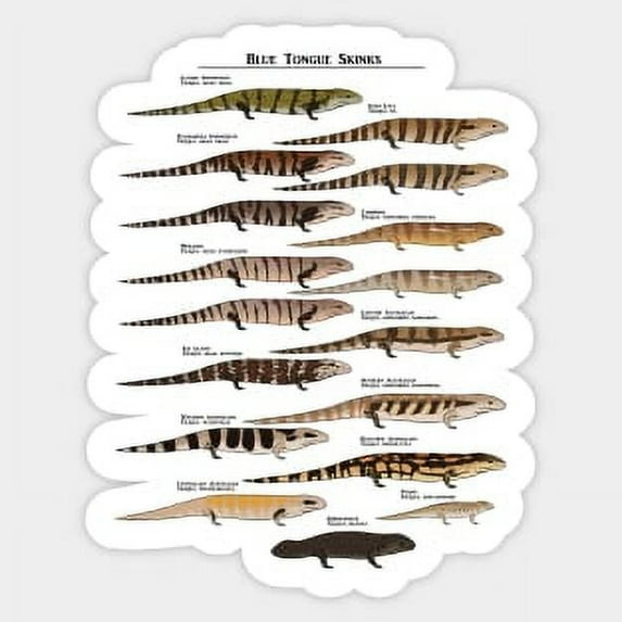 DOPASTICKER Blue Tongue Skink Species Natural History Bluey For Kids ...