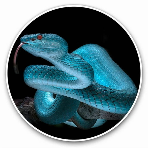 DOPASTICKER Blue Viper Snake Reptile Snakes Cool Gift Decorative Laptop ...