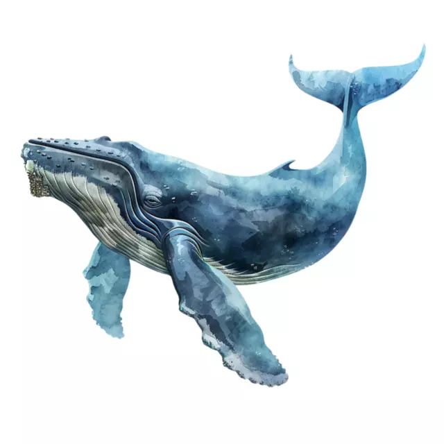 DOPASTICKER Blue Whale Sticker Watercolor Ocean Animal Sea Salt Life ...