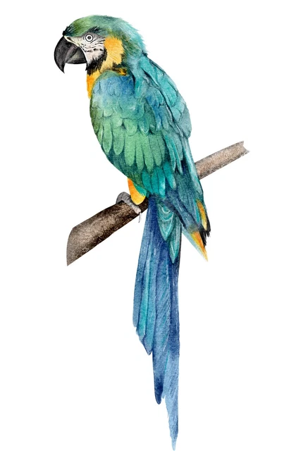 DOPASTICKER Blue Yellow Parrot Sticker Bird Wild Flying Vibrant Macaw ...