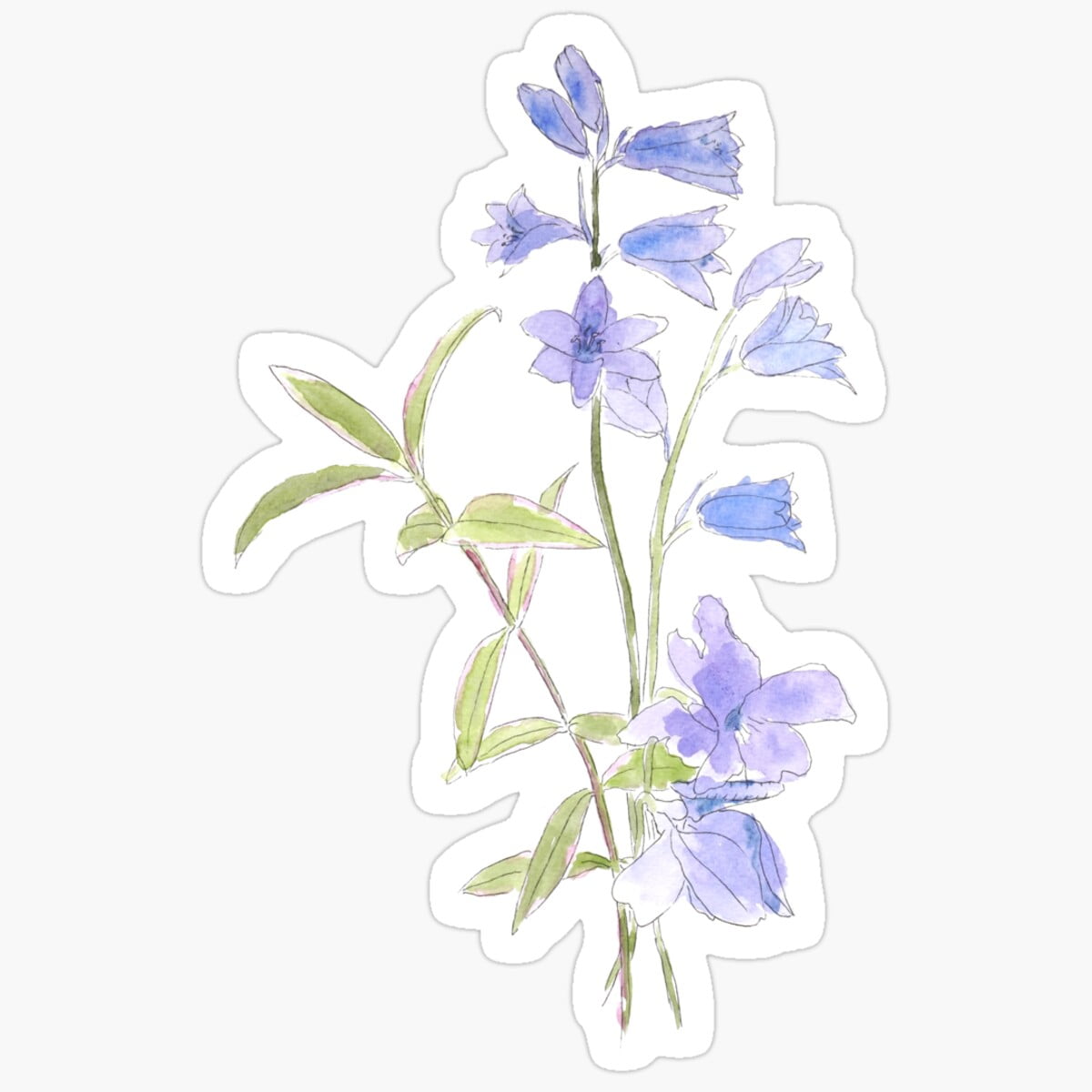 DOPASTICKER Bluebell And Violet Ink And Watercolor Sticker Birthday ...