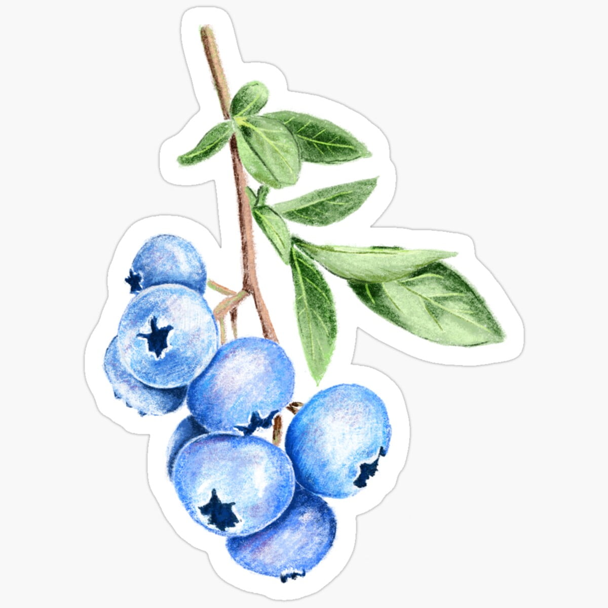 DOPASTICKER Blueberries Sticker Waterproof Sticker For Water Bottles ...
