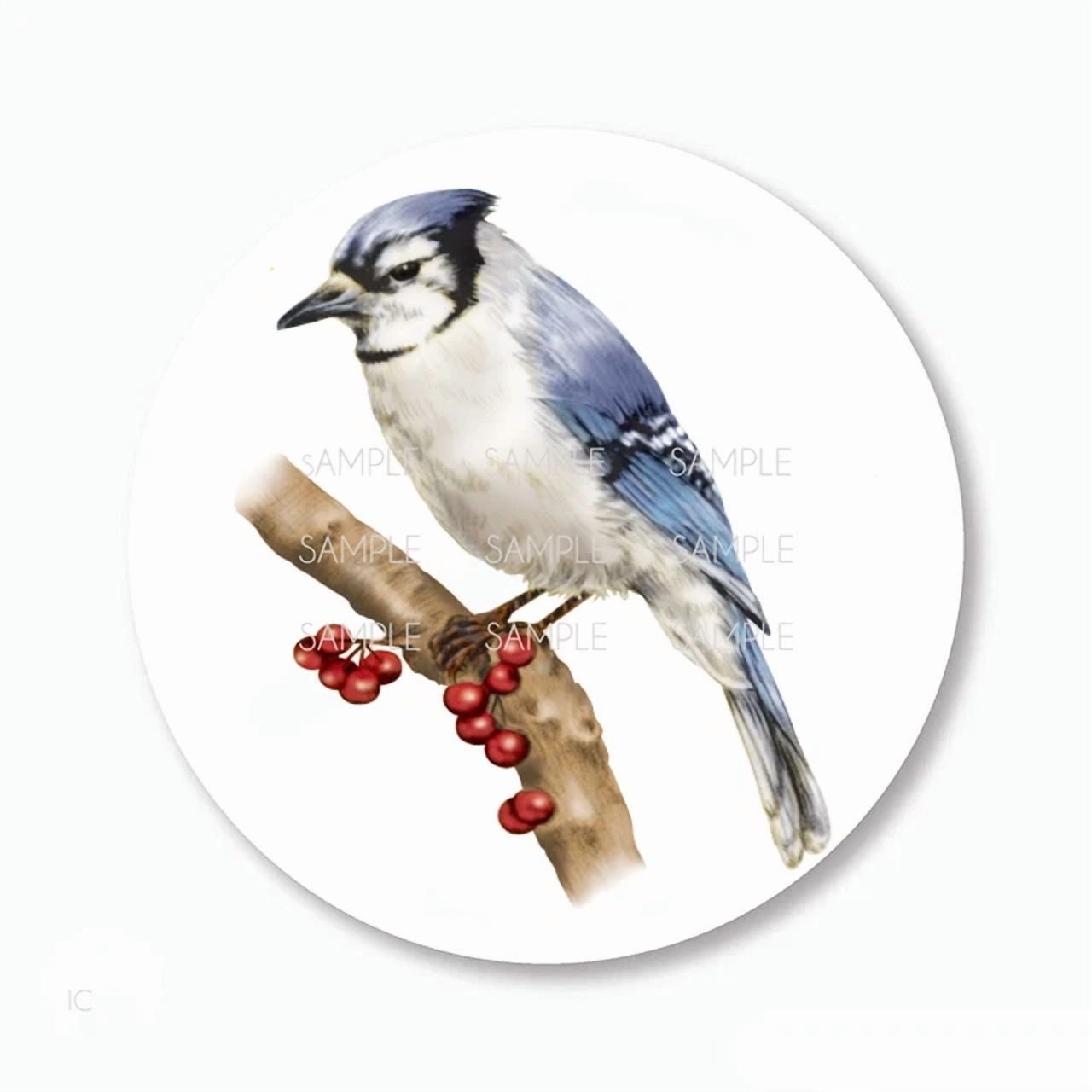 DOPASTICKER Bluejay Bird Scrapbook Stickers Blue Jay Bird Phone Decal ...