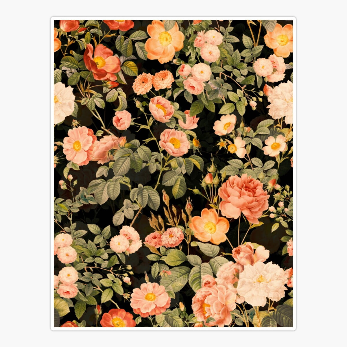 DOPASTICKER Blush Redoute Roses On Black Botanical Night Garden ...